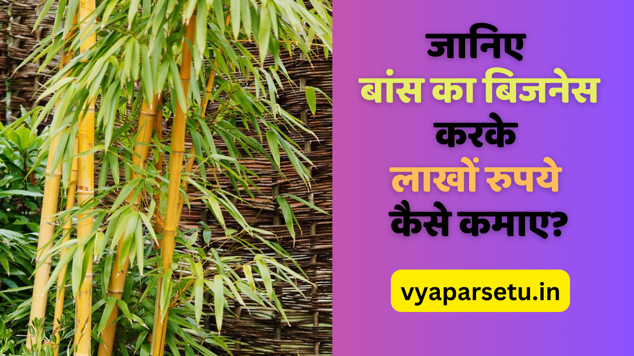 Bamboo Business Idea: जानिए बांस का बिजनेस करके लाखों रुपये कैसे कमाए ...