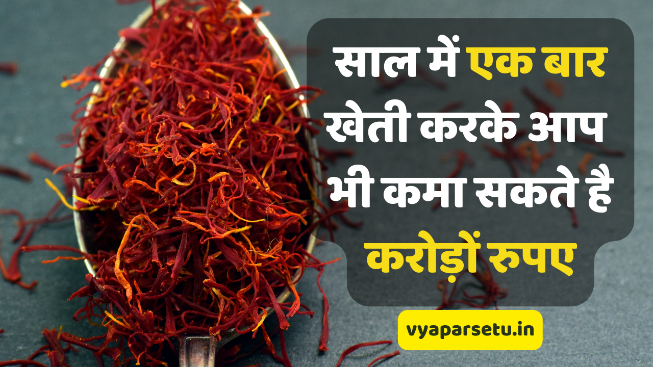 केसर की खेती: साल में एक बार खेती करके आप भी कमा सकते है करोड़ों रुपए ...