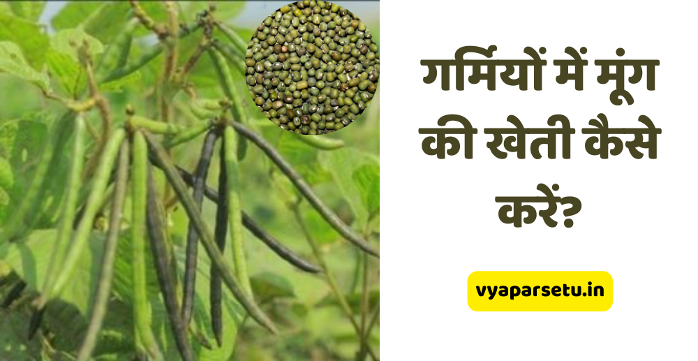 गर्मियों में मूंग की खेती कैसे करें? | Mung ki Kheti Kaise Kare ...